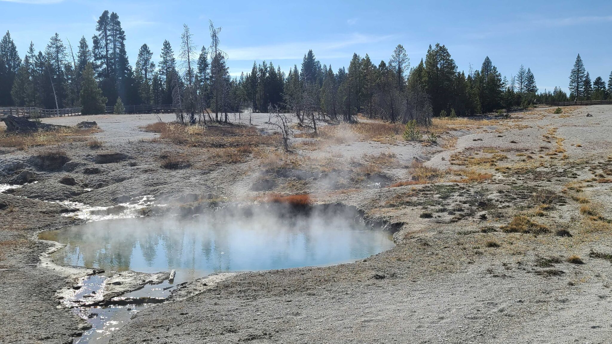 5 Day Yellowstone and Grand Teton National Park in Depth- Hotel Based ...